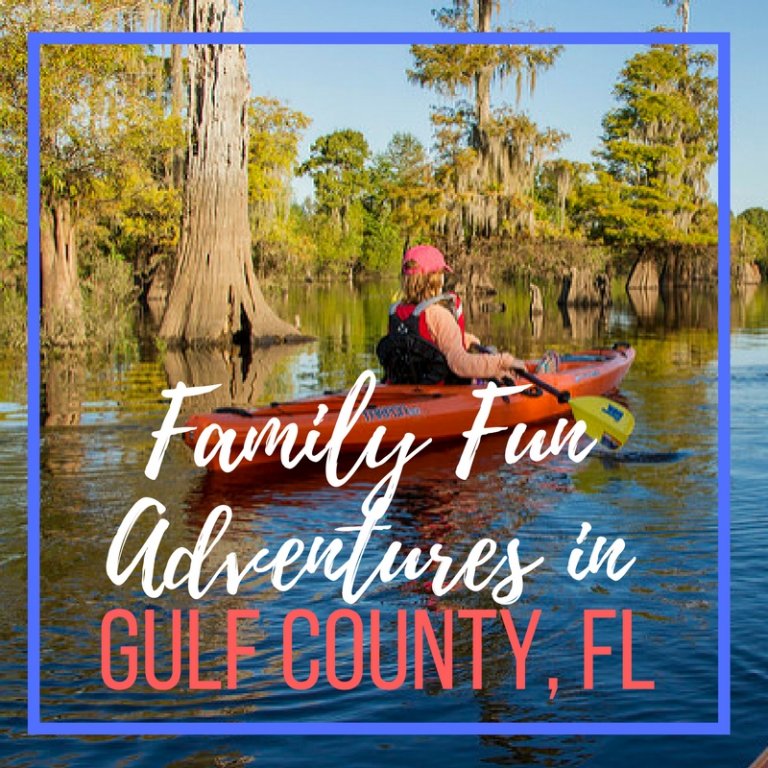 5 Family Fun Adventures In Gulf County, Florida - Serendipity And Spice