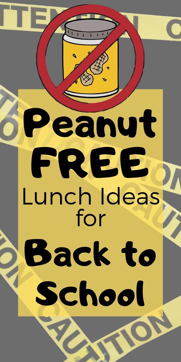 Nut Free Lunch Ideas For Back To School - Serendipity And Spice