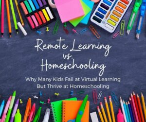 Homeschool Vs. Remote Learning - Serendipity And Spice