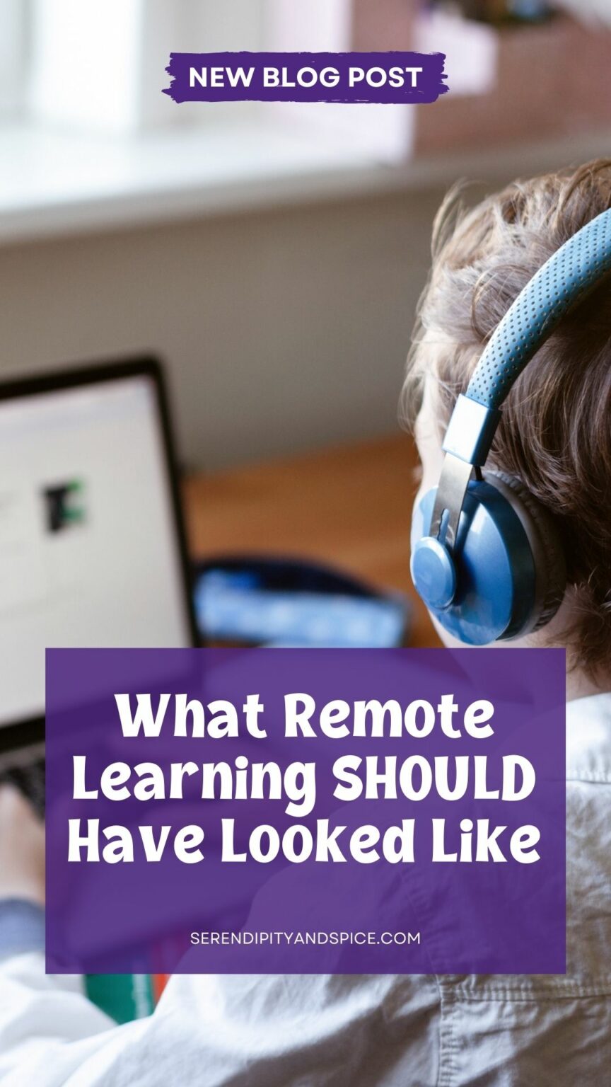 Homeschool Vs. Remote Learning - Serendipity And Spice