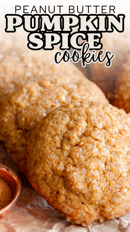 Pumpkin Peanut Butter Cookies Recipe - Serendipity And Spice