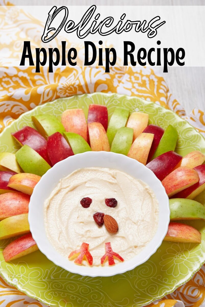 Healthy Apple Dip Recipe - Serendipity And Spice