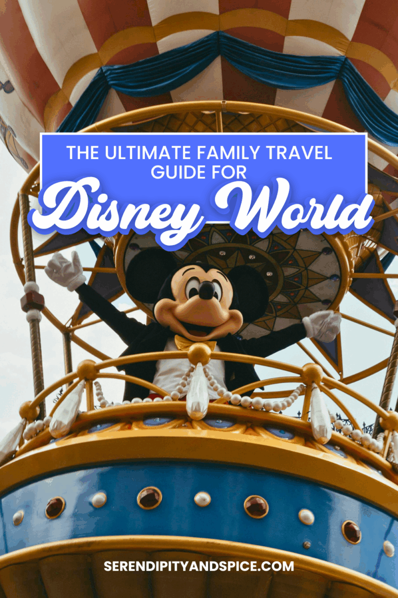 The Ultimate Guide To Planning A Family Trip To Disney World (2026 ...